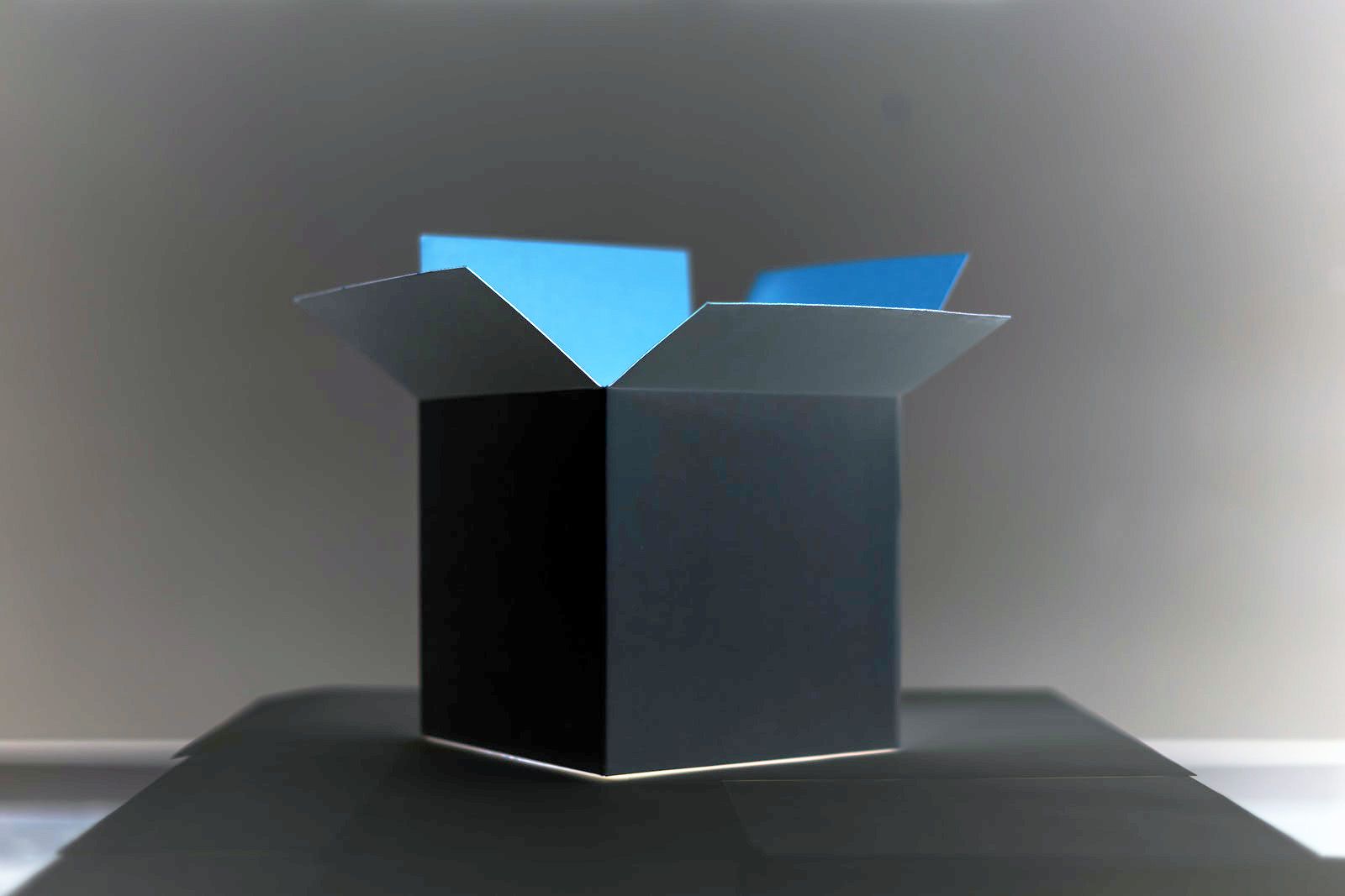 Unraveling the AI Black Box